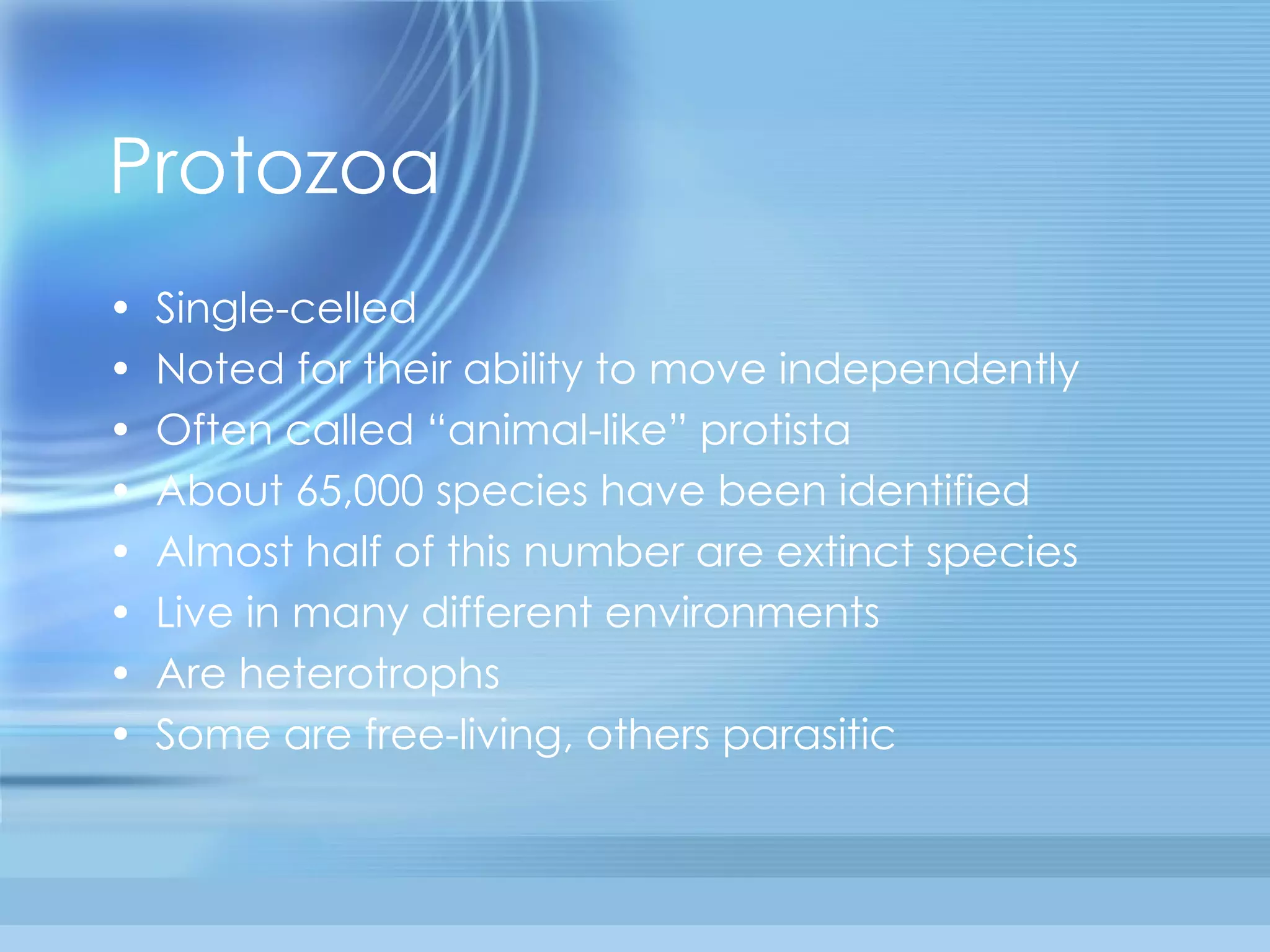 Protista blog notes | PPT