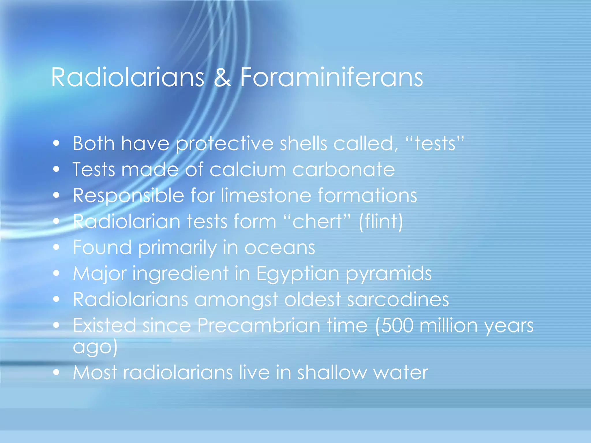Protista blog notes | PPT