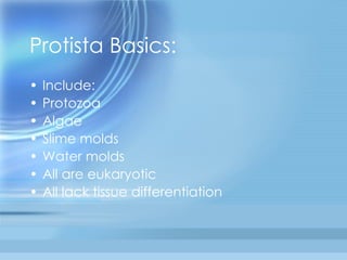 Protista blog notes | PPT