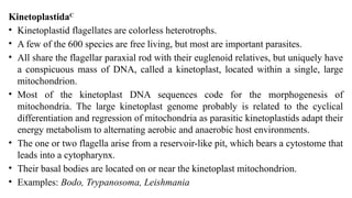 General characteristics and Classification of Protista .pptx