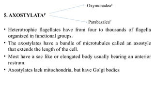 General characteristics and Classification of Protista .pptx