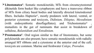 General characteristics and Classification of Protista .pptx