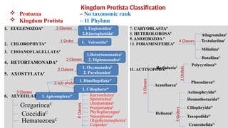 General characteristics and Classification of Protista .pptx