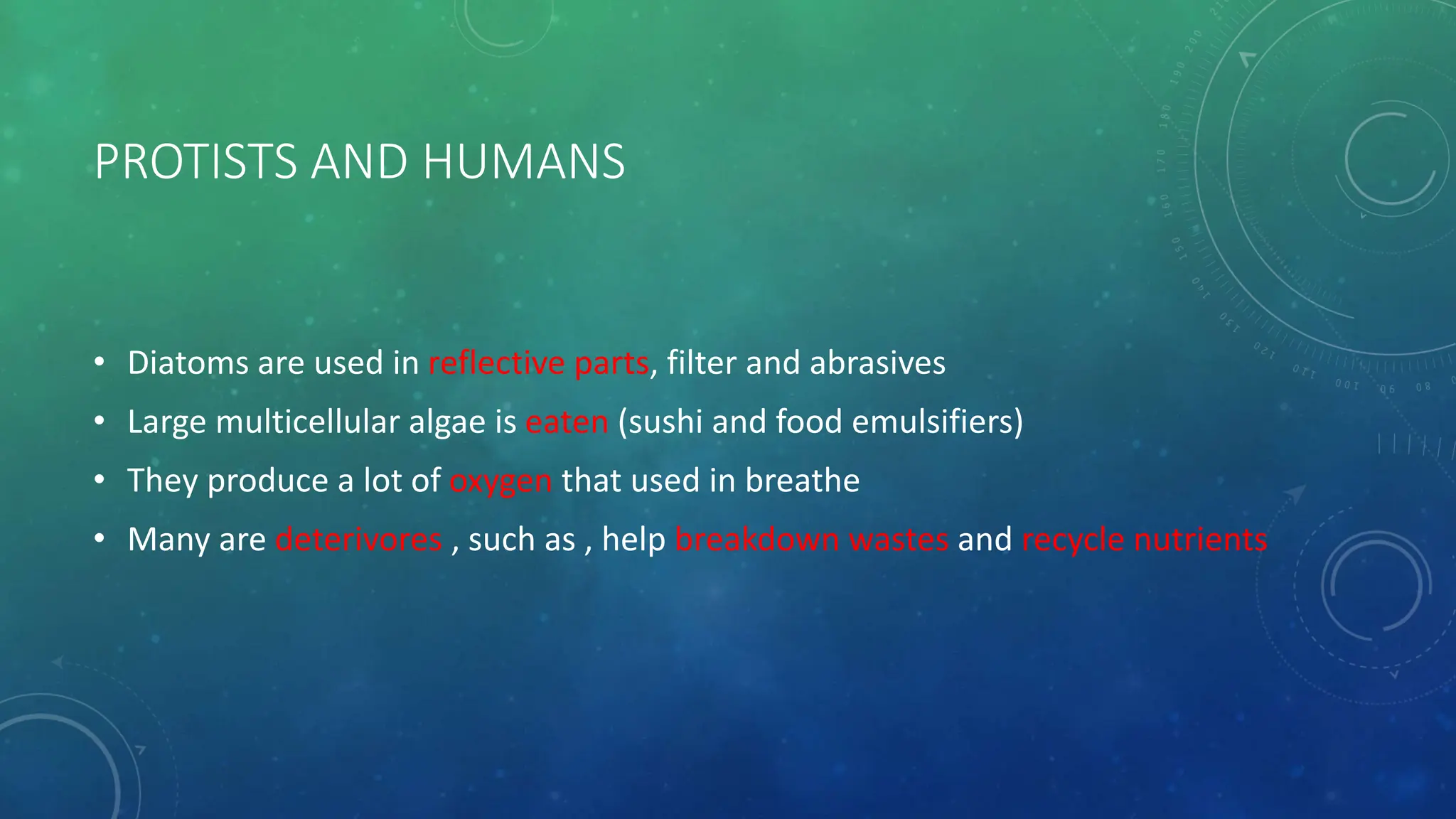 Protista .pptx doc 444444444444444444444 | PPTX