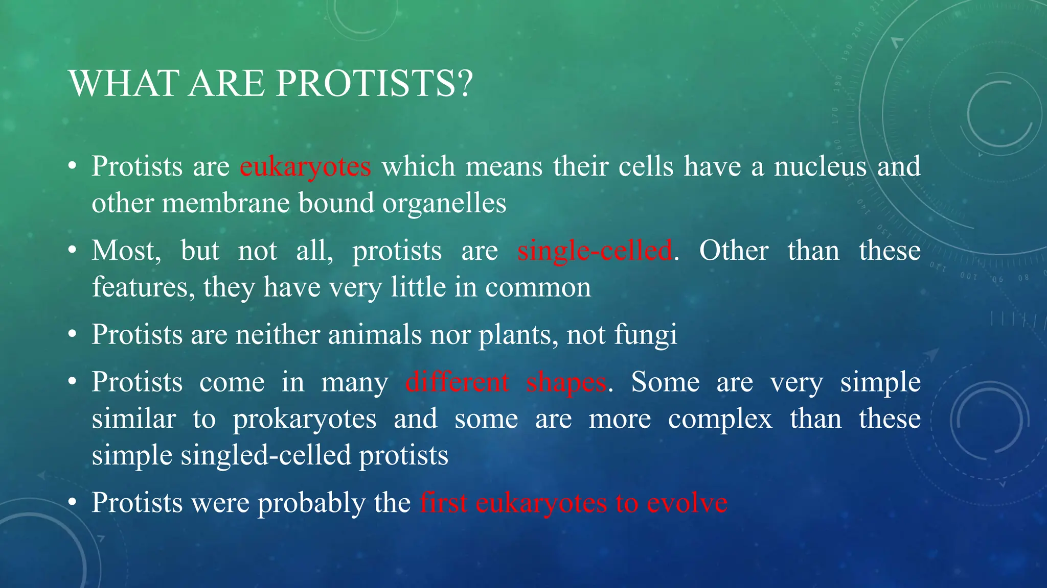 Protista .pptx doc 444444444444444444444 | PPTX