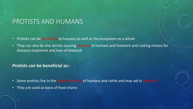 Protista .pptx doc 444444444444444444444 | PPTX