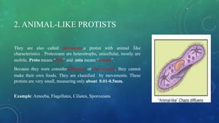 Protista .pptx doc 444444444444444444444 | PPTX