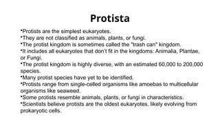 Protista & Fungi new one made by naveed.pptx