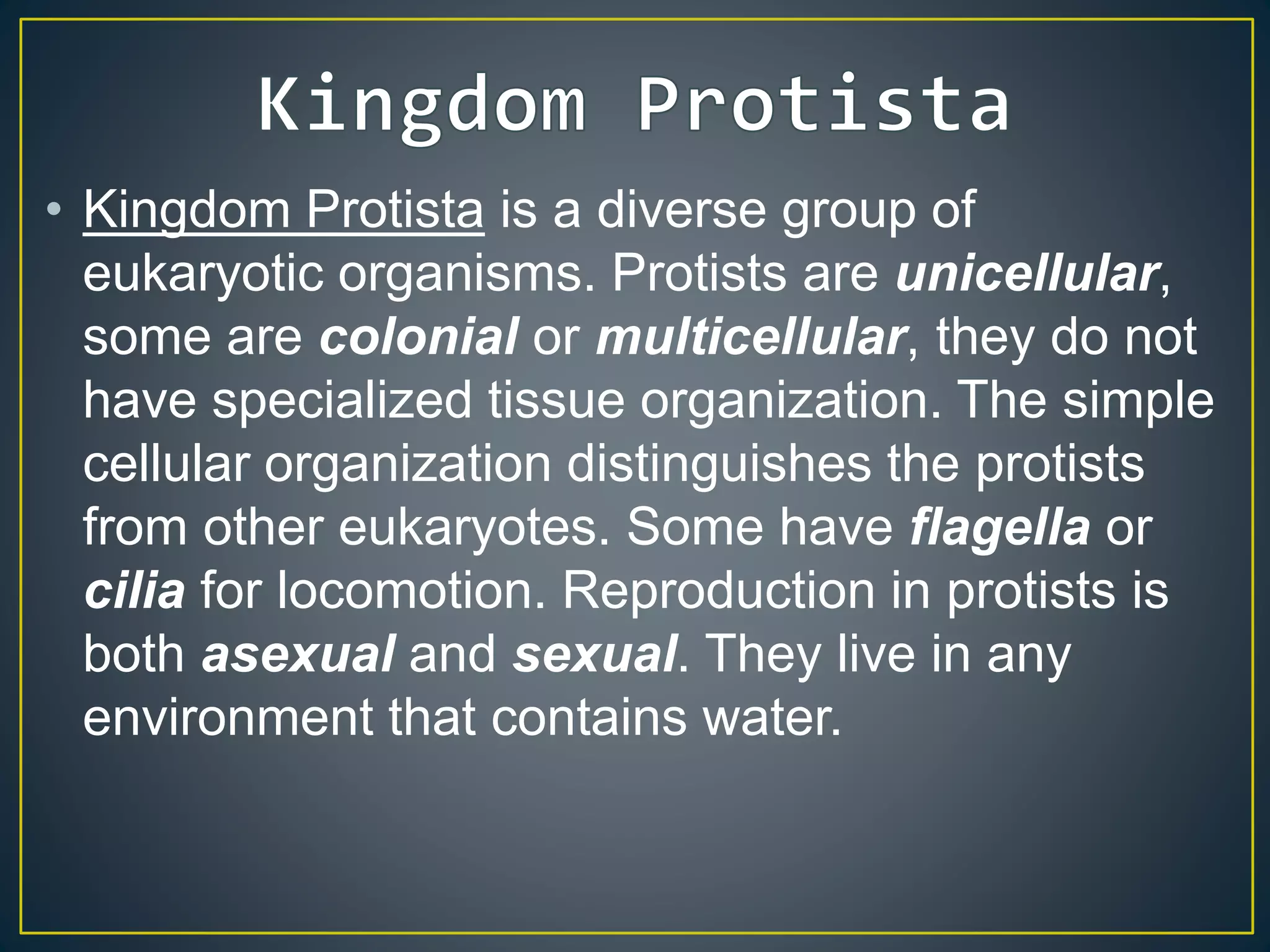 Kingdom Protista | PPTX