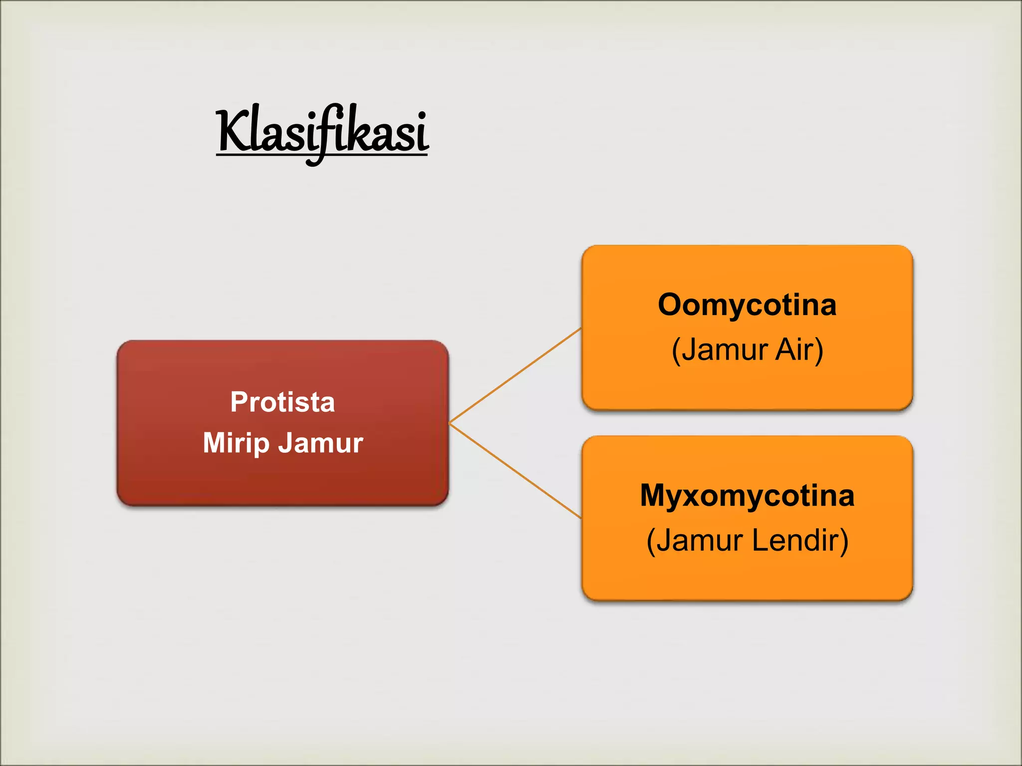 Kingdom Protista | PPT