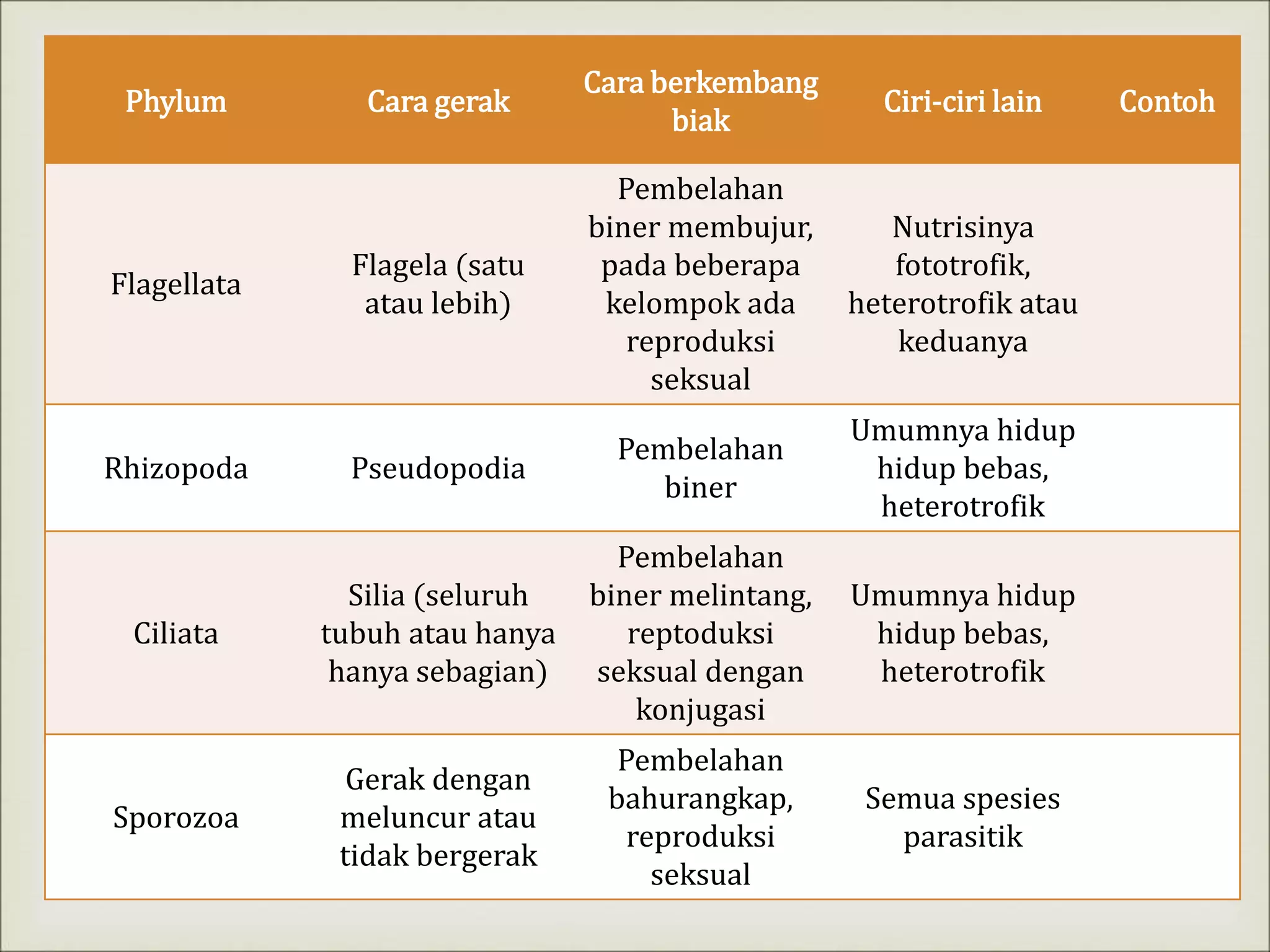 Kingdom Protista | PPT