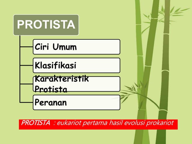 Kingdom Protista | PPT