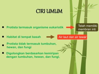 Kingdom Protista | PPT