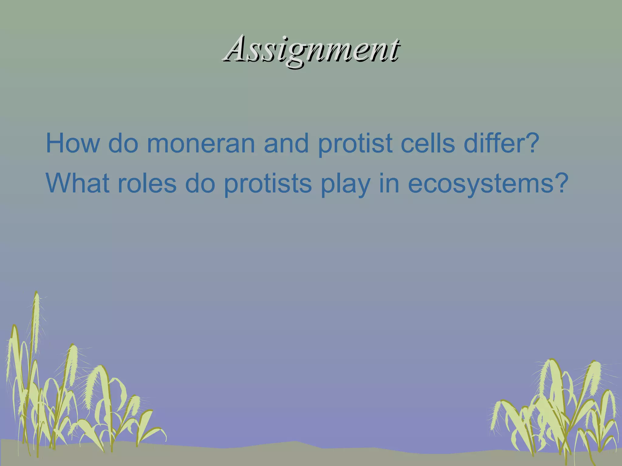 Protista introduction | PPT | Biological Sciences | Science