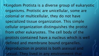 Protista jhobert | PPT