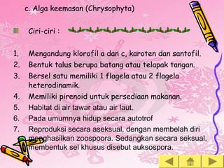 Protista ( kelompok 2 ipa 3 ) | PPT