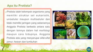 Protista mirip | PPT
