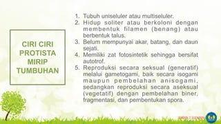 Protista mirip | PDF