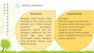 Protista mirip | PDF