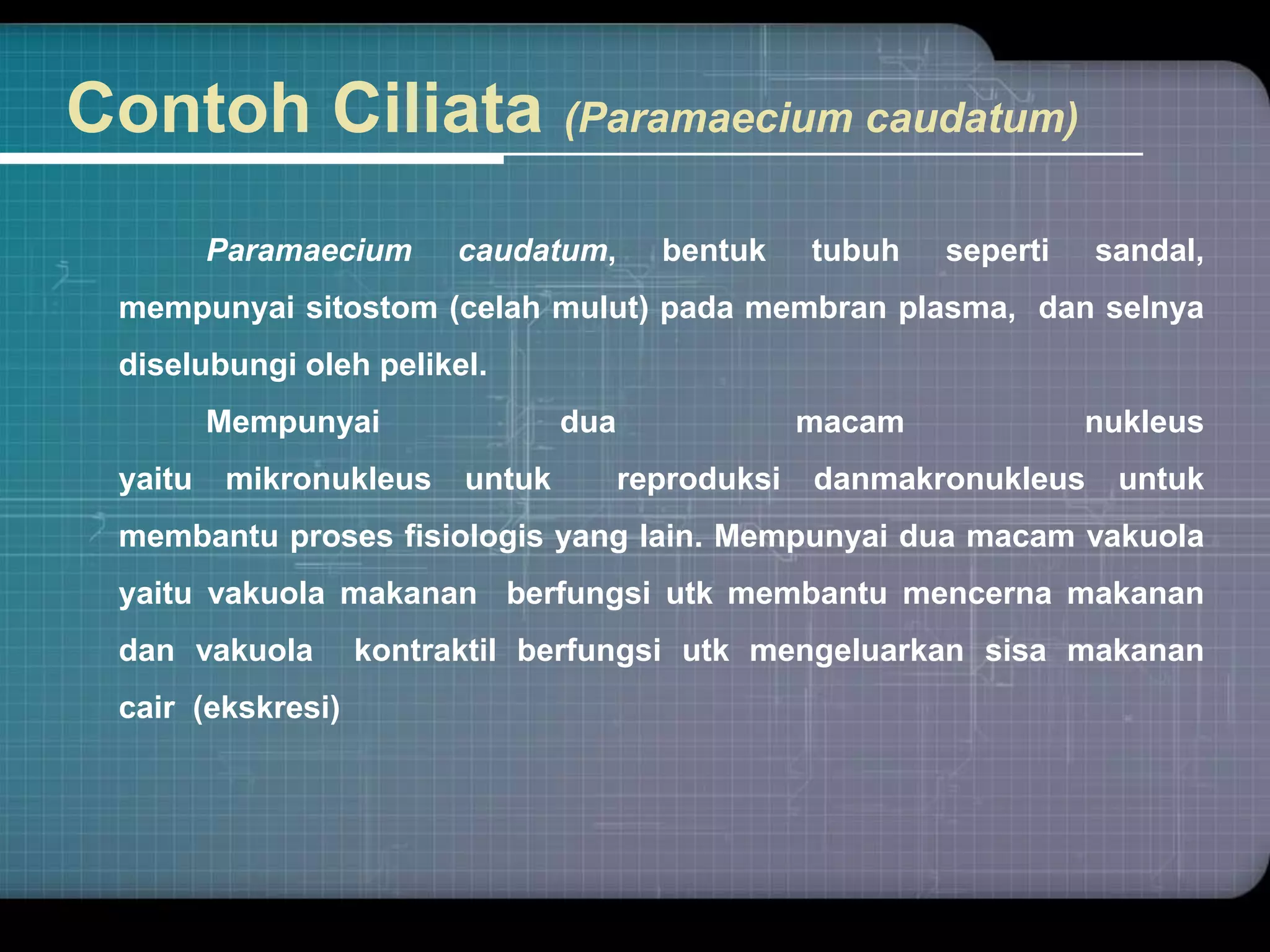 Protista mirip hewan | PPTX