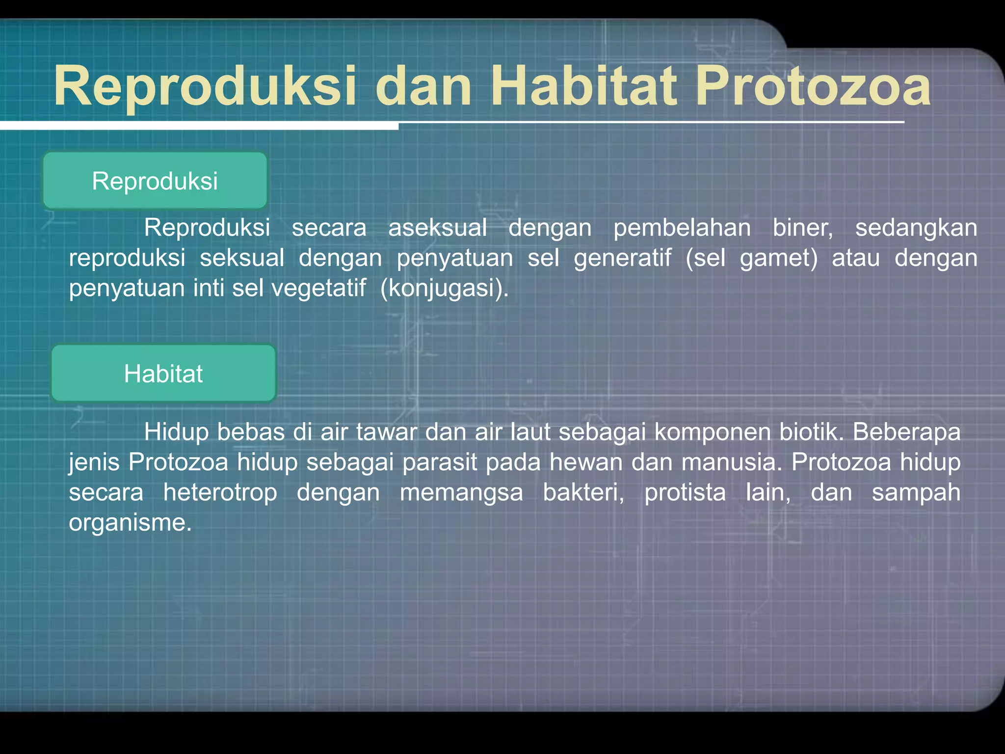 Protista mirip hewan | PPTX