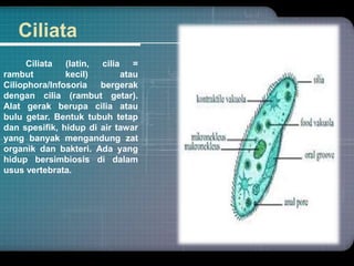 Protista mirip hewan | PPTX