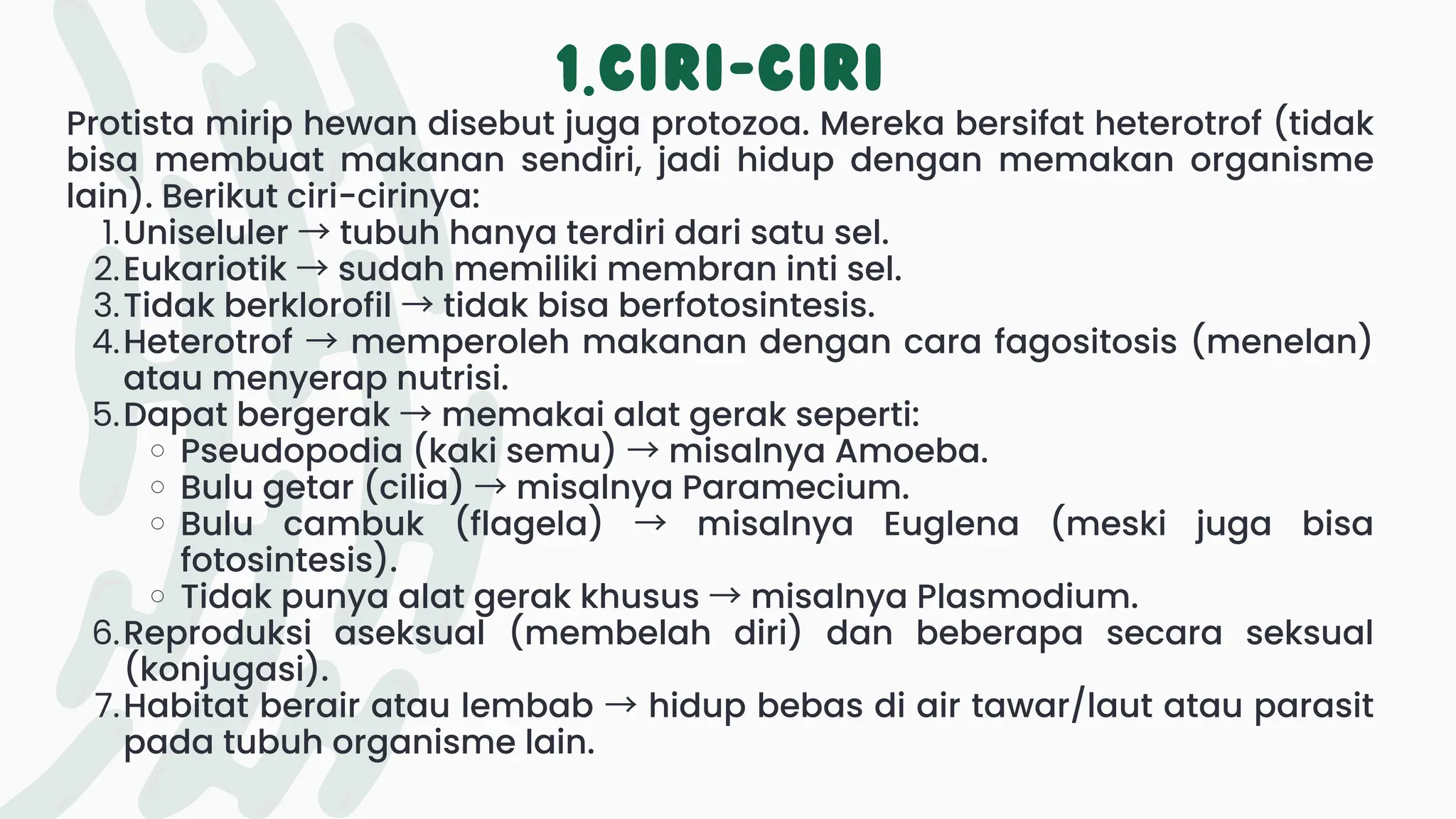 protista mirip hewan biologi kelas 10.pdf