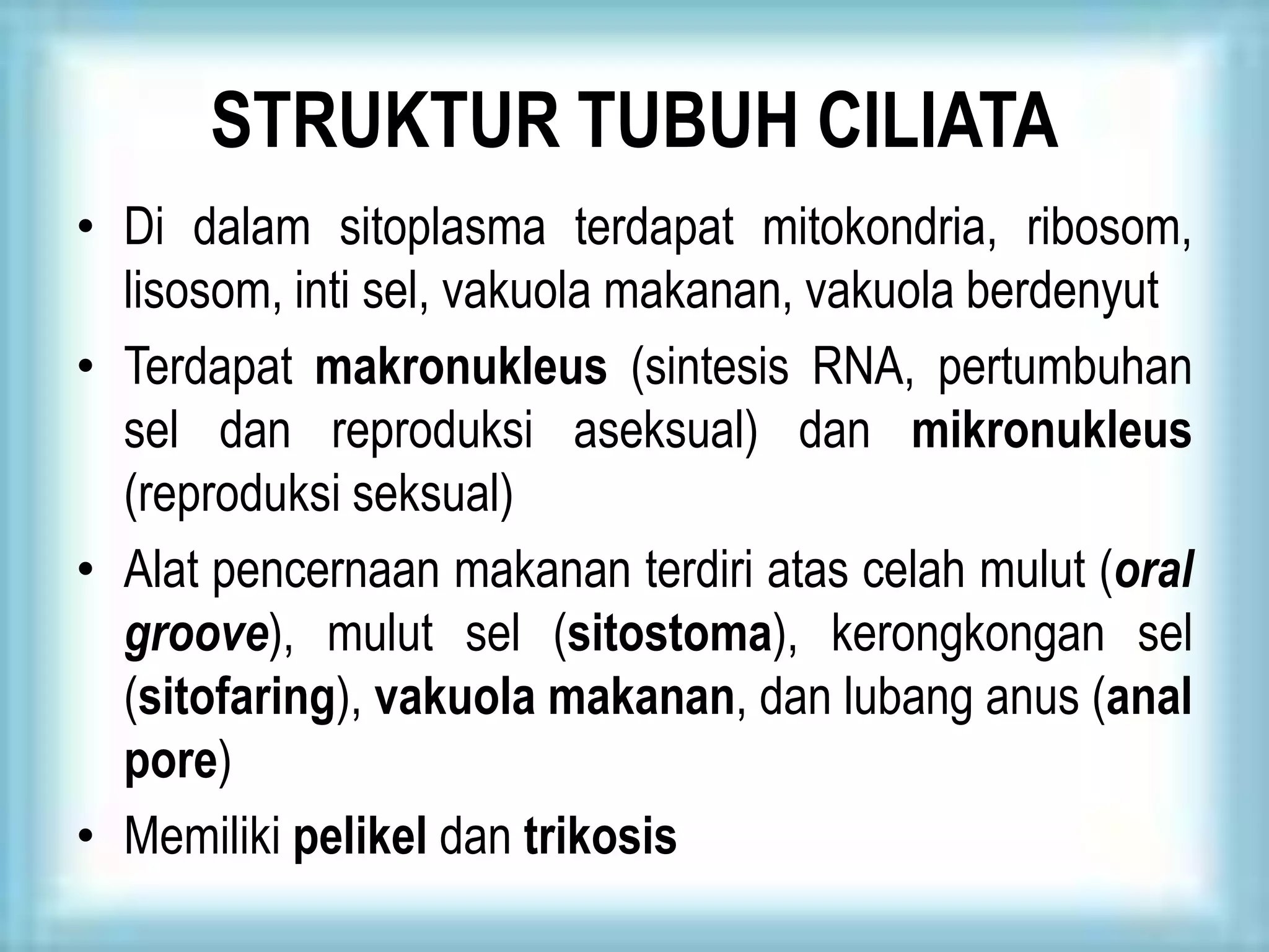 Protista Mirip Hewan dan Mirip Jamur | PPTX