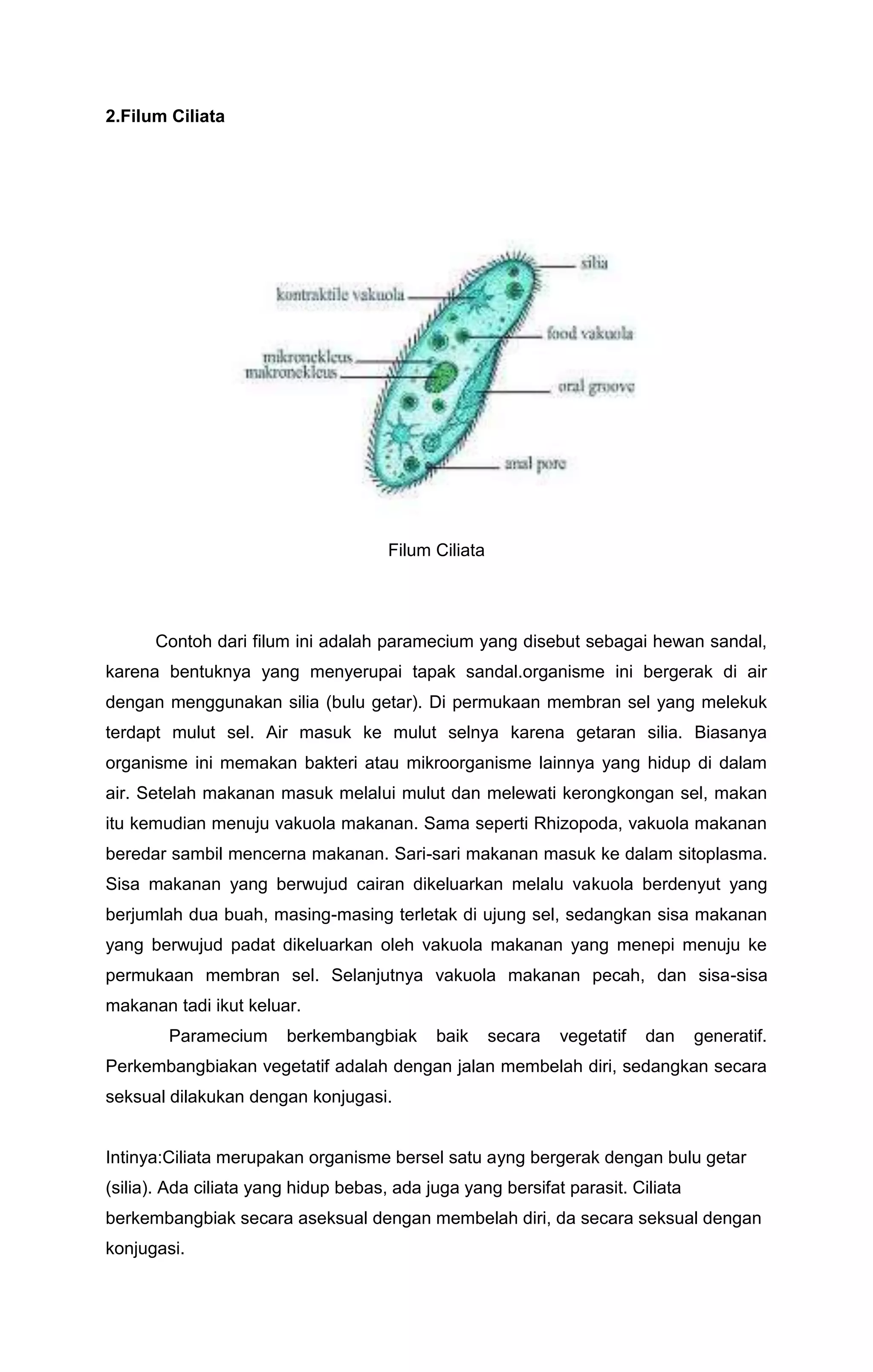 Protista mirip hewan, jamur dan tumbuhan | PDF