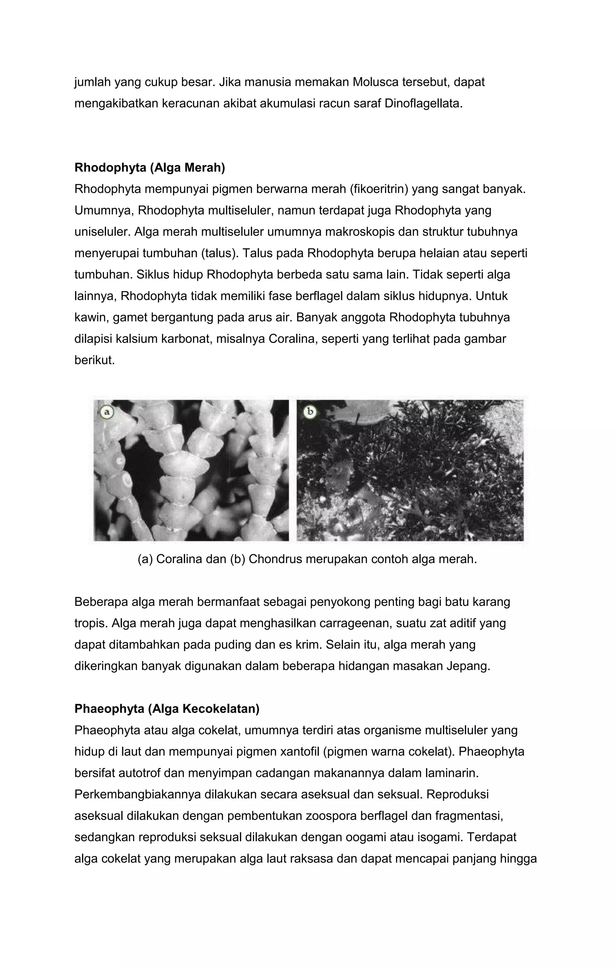 Protista mirip hewan, jamur dan tumbuhan | PDF