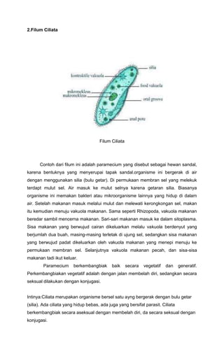 Protista mirip hewan, jamur dan tumbuhan | DOCX