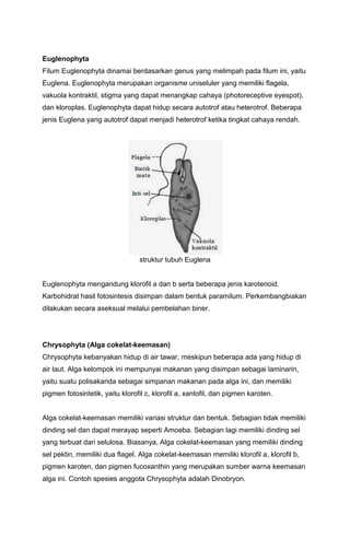 Protista mirip hewan, jamur dan tumbuhan | PDF
