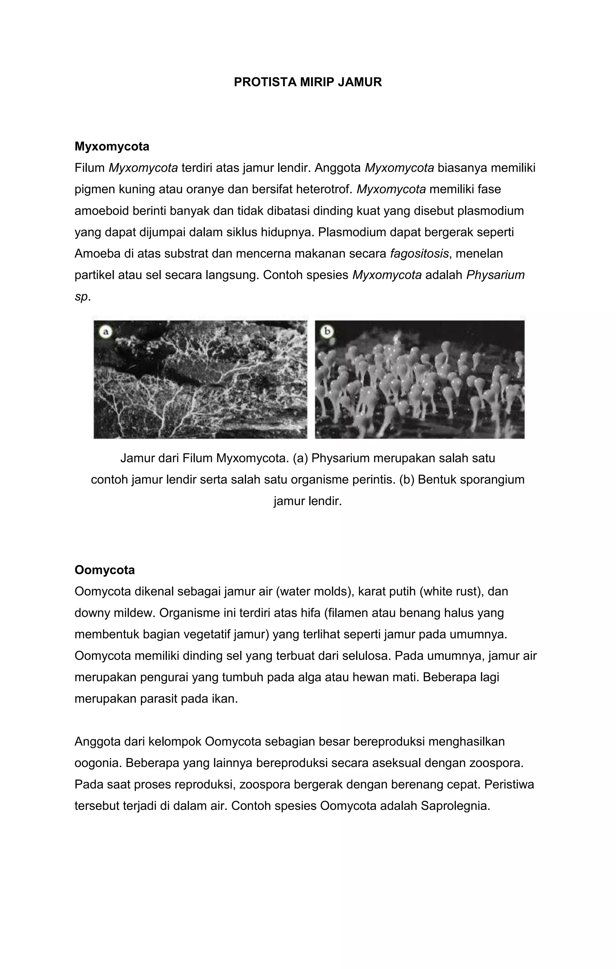 Protista mirip hewan, jamur dan tumbuhan 2 | PDF