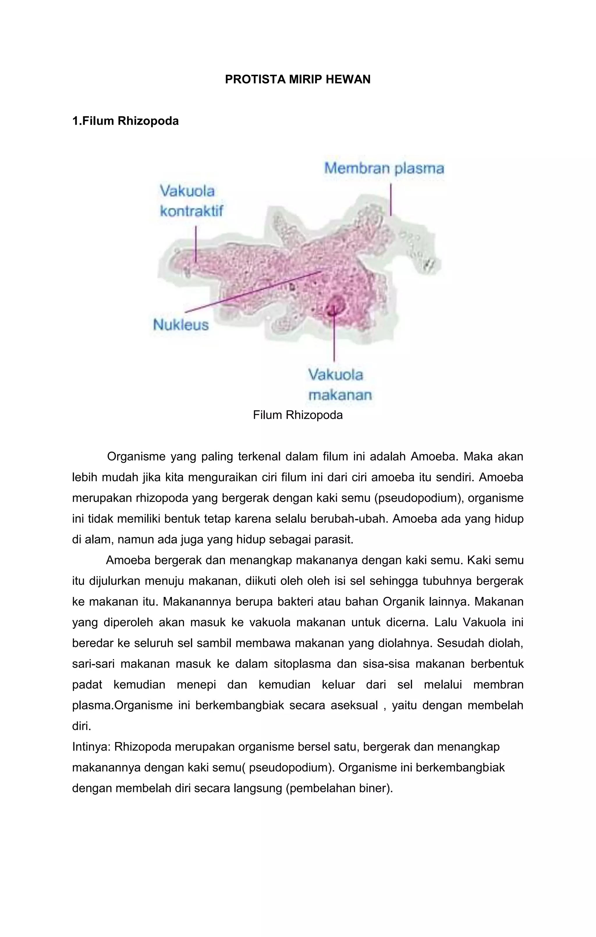 Protista mirip hewan, jamur dan tumbuhan 2 | DOCX