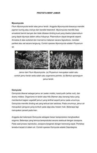 Protista mirip hewan, jamur dan tumbuhan 2 | DOCX