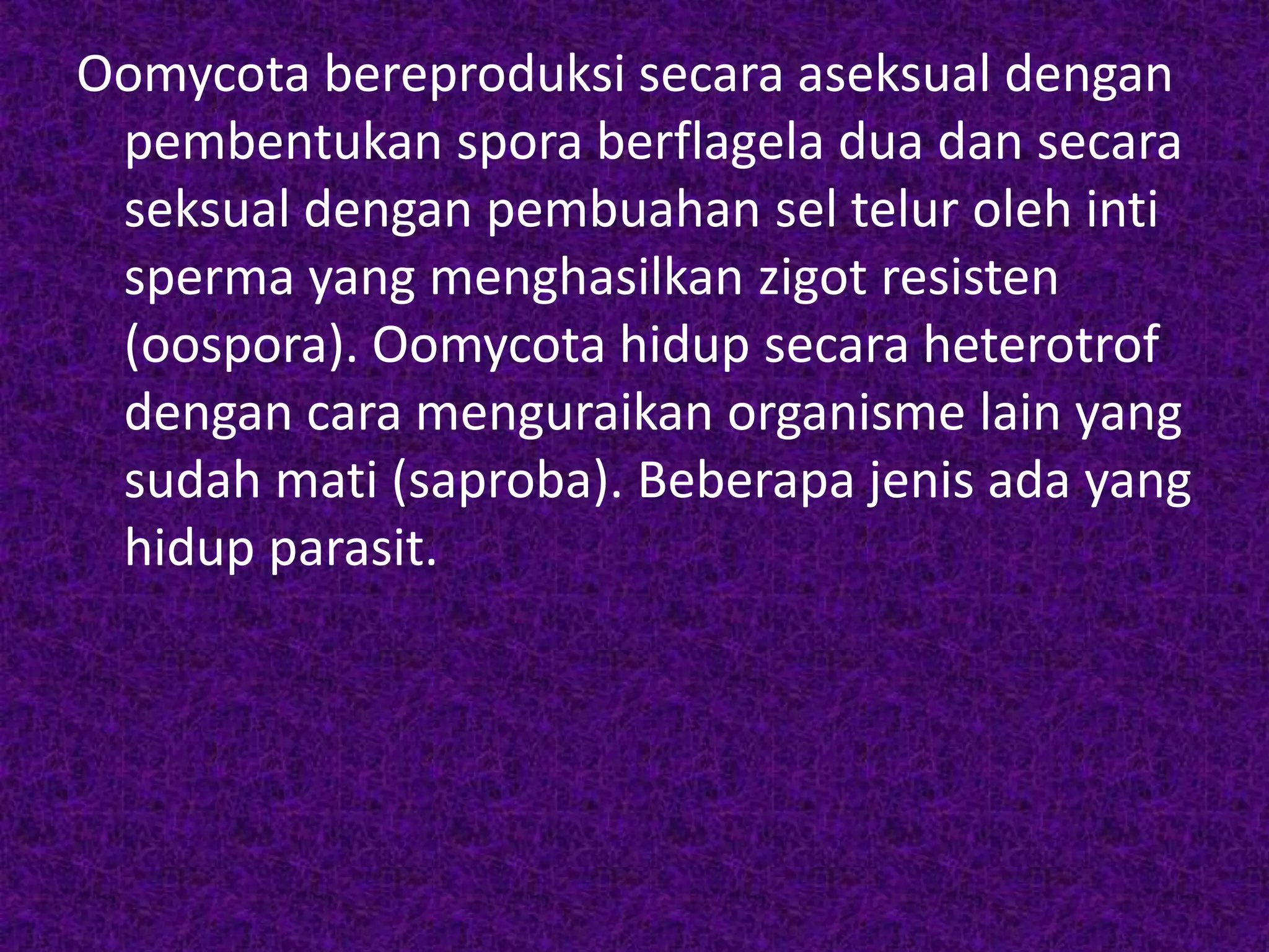 Protista mirip jamur (by Josafat Anhar dan team) | PPT