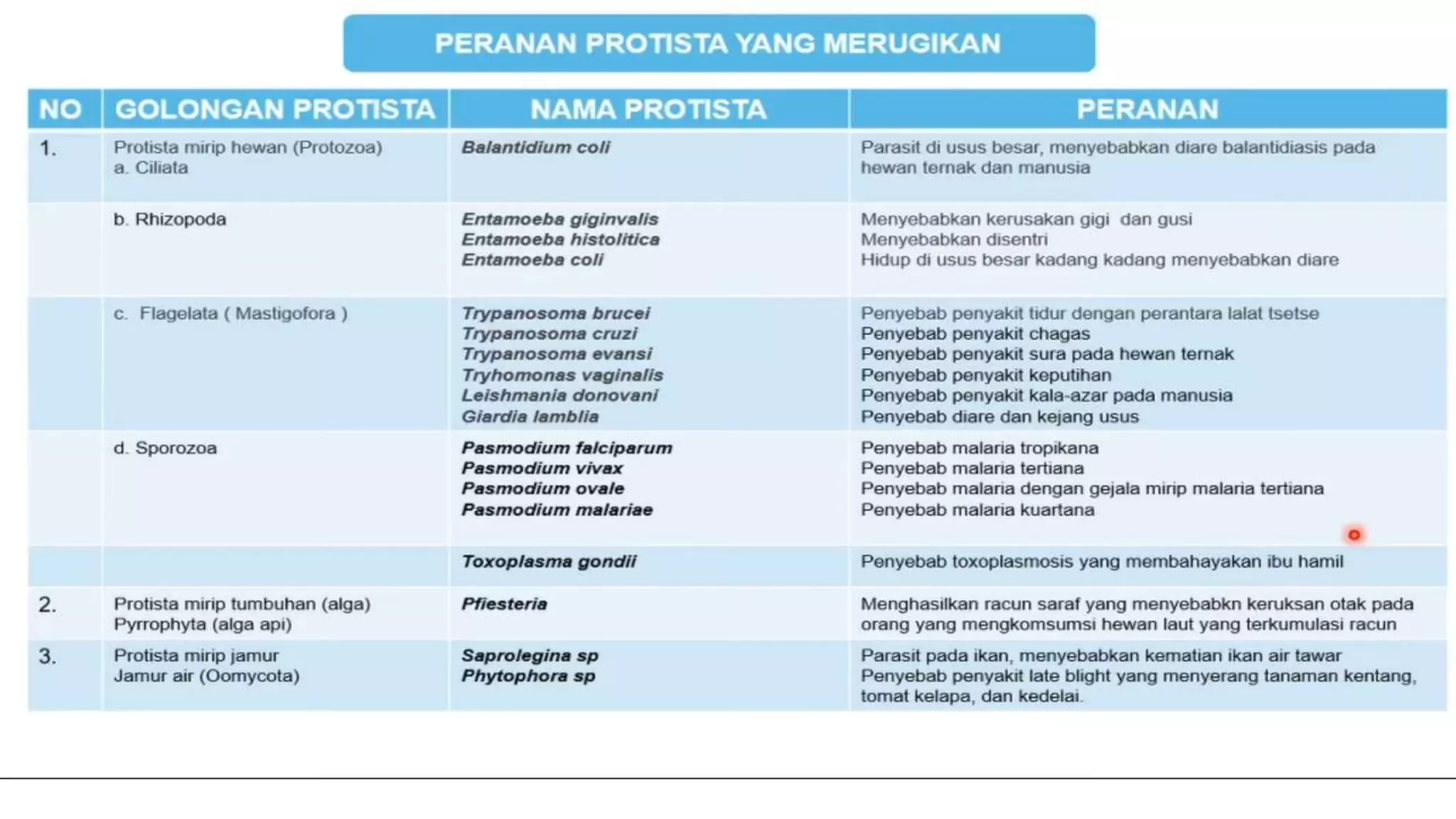 PROTISTA MIRIP TUMBUHAN.pptx