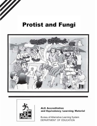 Protist and fungi lrmds | PDF