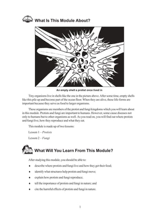 Protist and fungi lrmds | PDF