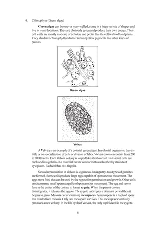 Protist and fungi lrmds | PDF