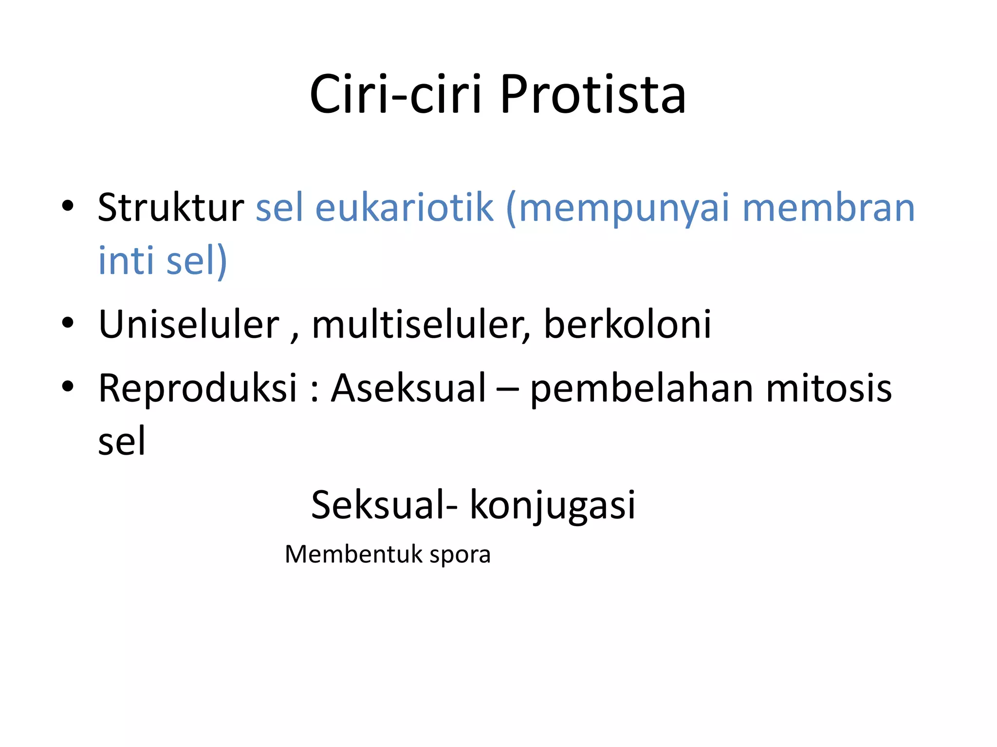 PROTISTA new.ppt