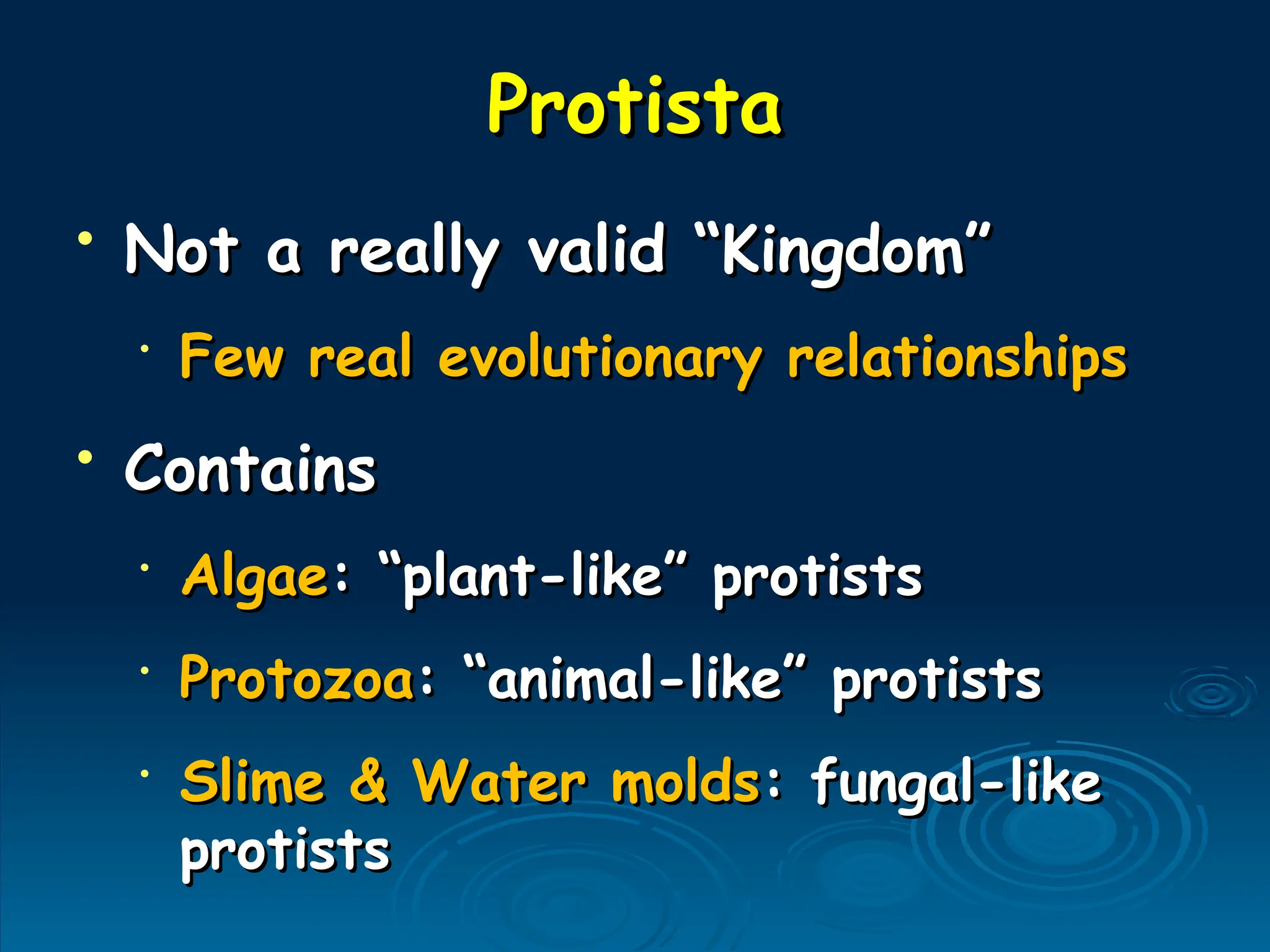 PROTISTA PPPPPPPPPPPPPPPPPPPCC revised.ppt