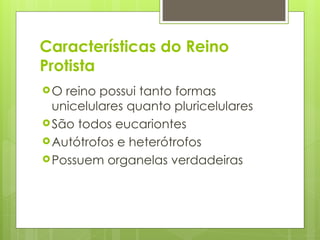 Aula completa sobre o Reino dos Protistas. | PPT