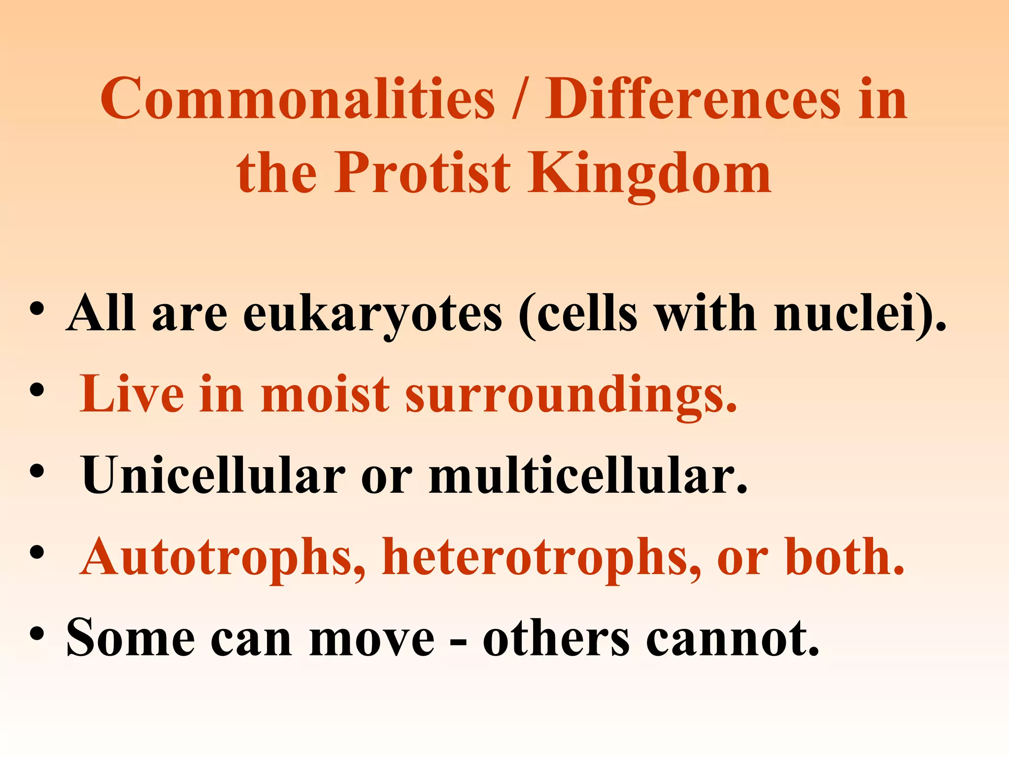 Protist & Fungi | PPT