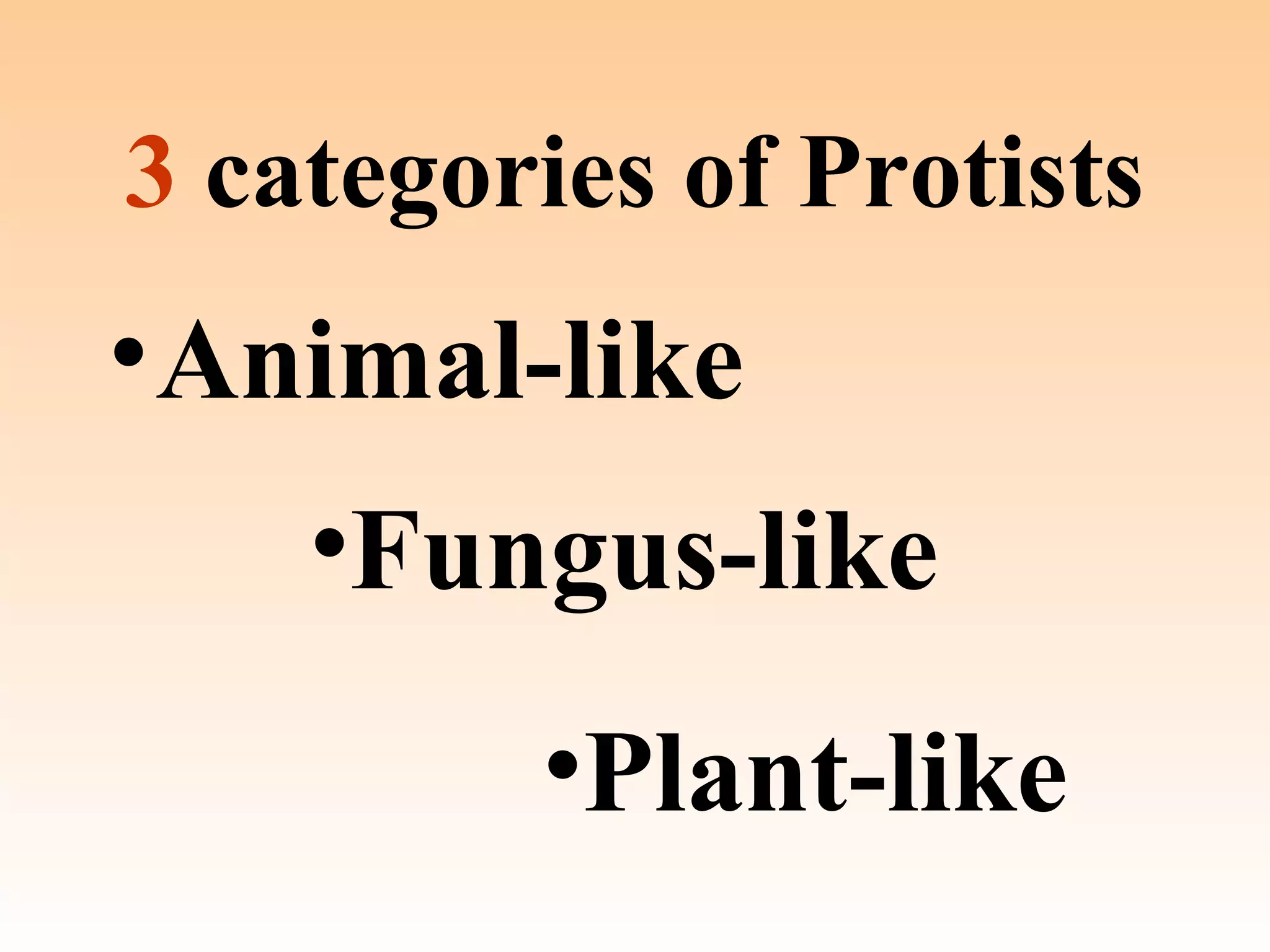 Protist & Fungi | PPT