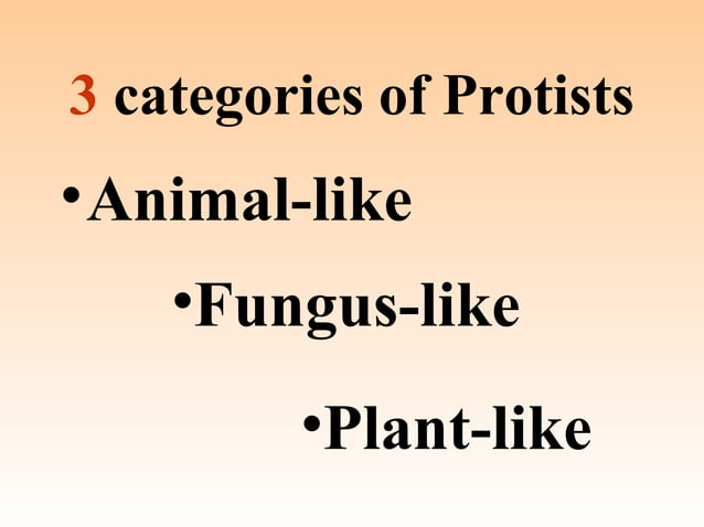 Protist & Fungi | PPT