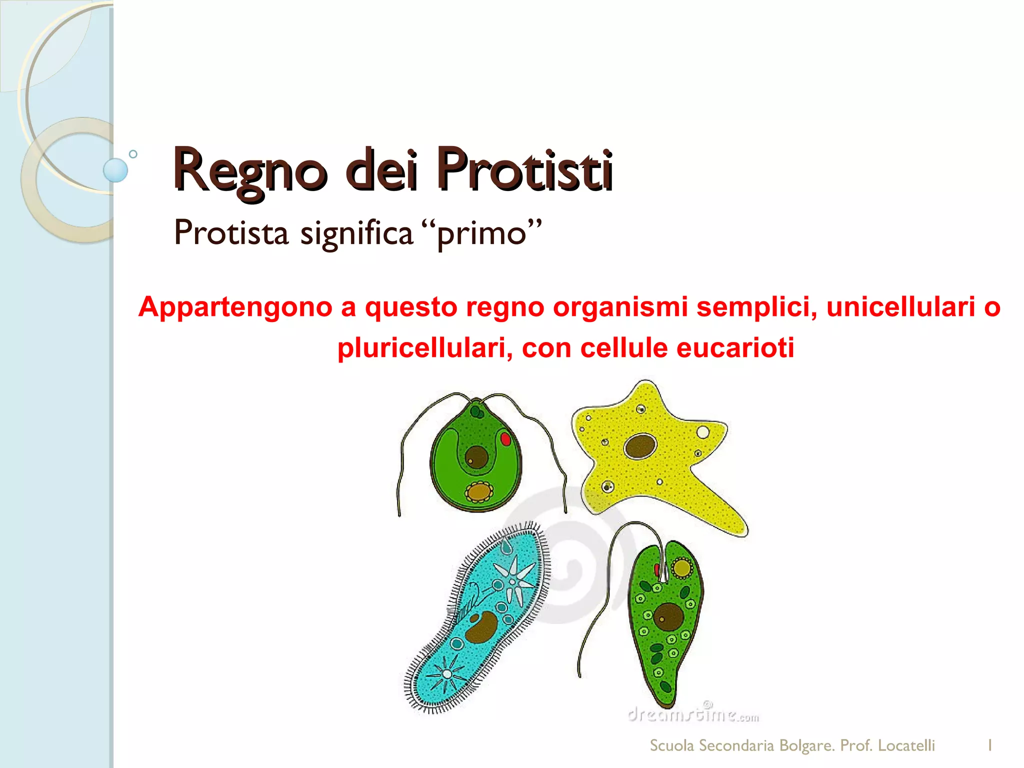 Protisti | PPT