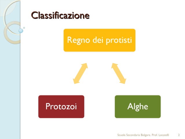 Protisti | PPT