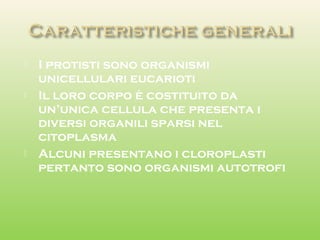 Protisti | PPT | Biological Sciences | Science