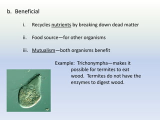 Protist_PowerPoint.pptx